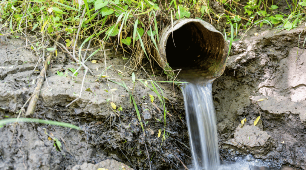 How To Get An NPDES Permit In Florida (With Steps)