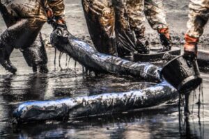 The Different Types Of Booms For Environmental Protection - AOTC